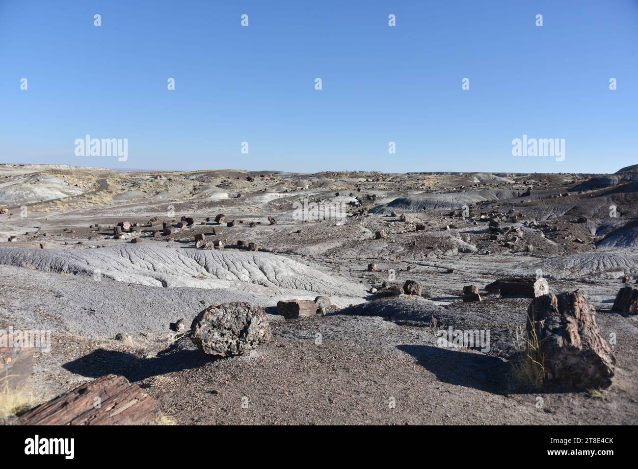 Petrified Forest National Park, AZ., USA. 10/17-18/2023. Crystal Forest ...