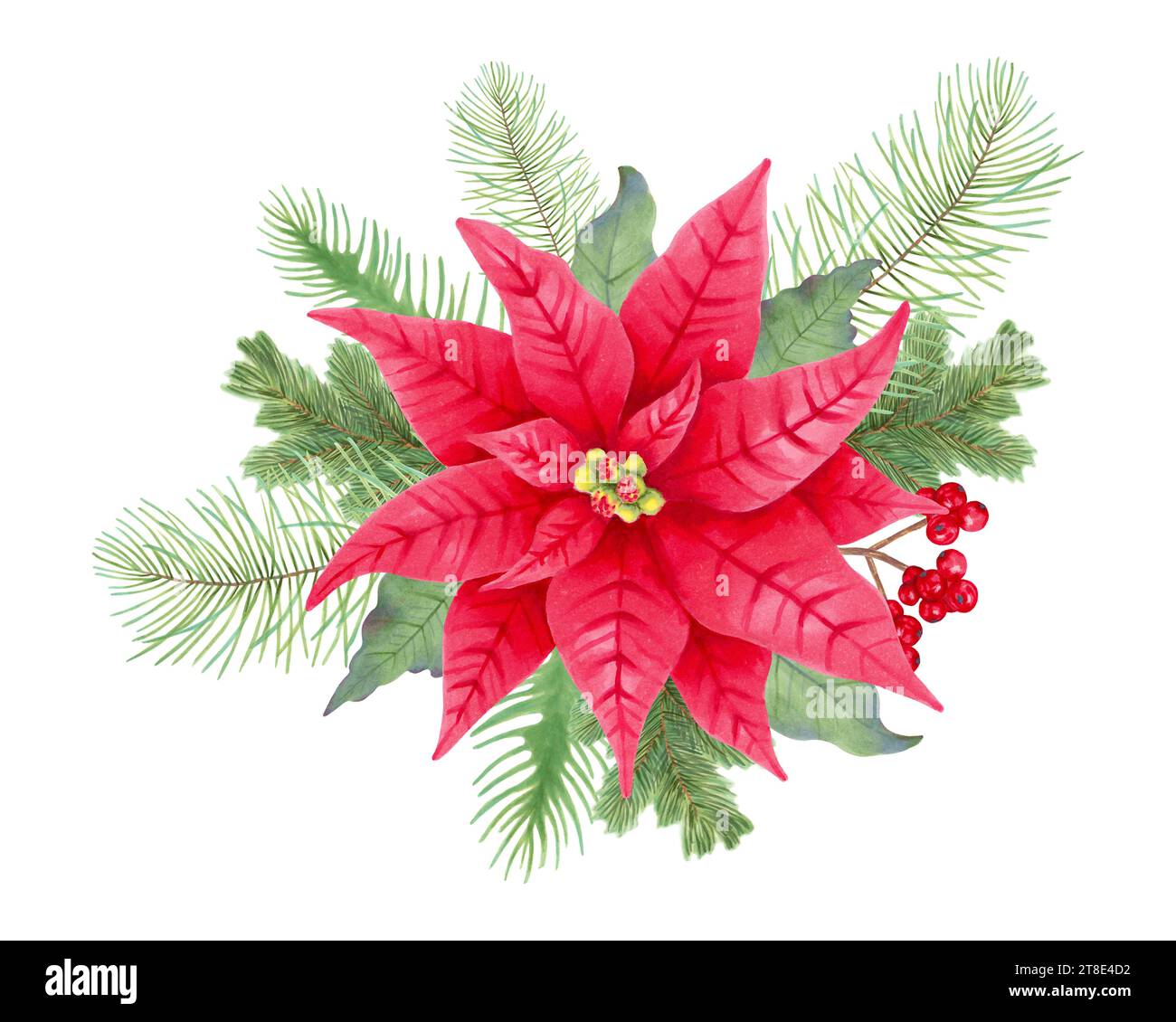 Winter bouquet frame hand Cut Out Stock Images & Pictures - Alamy