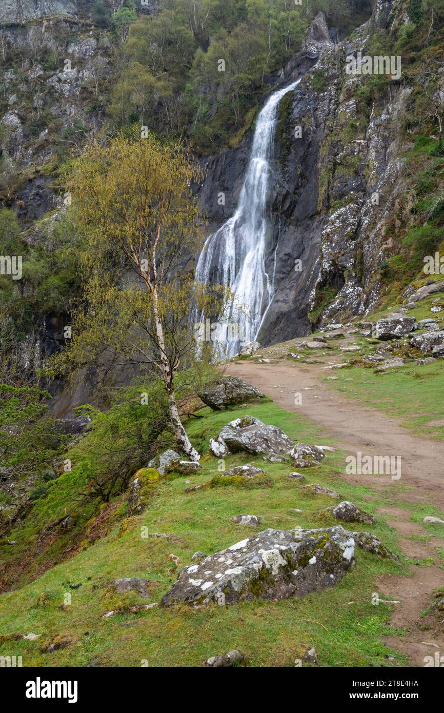 Aber Falls a dramatic waterfall on the edge of the Carneddau mountains ...