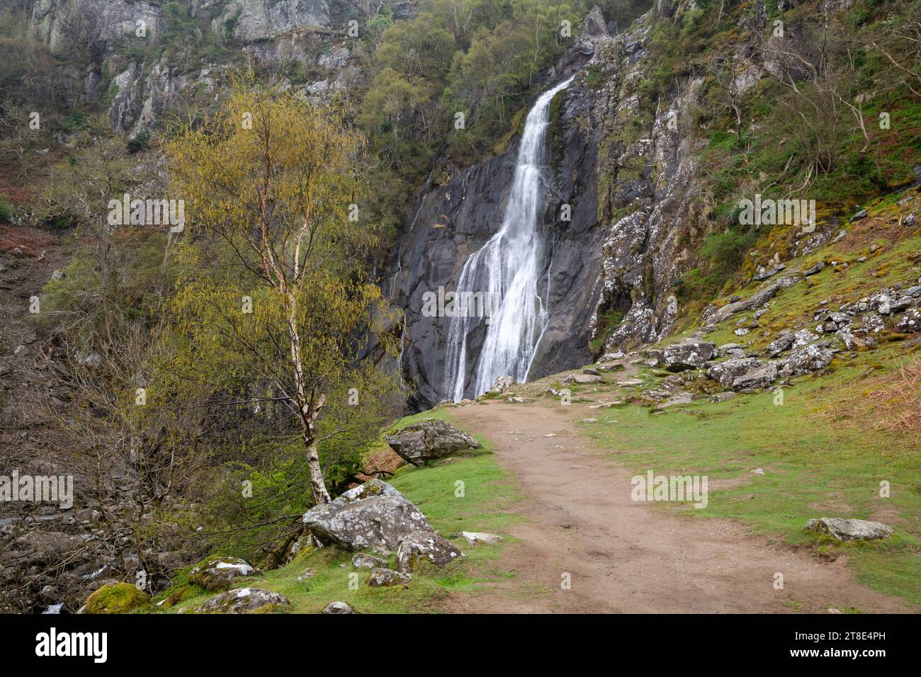 Aber Falls a dramatic waterfall on the edge of the Carneddau mountains ...