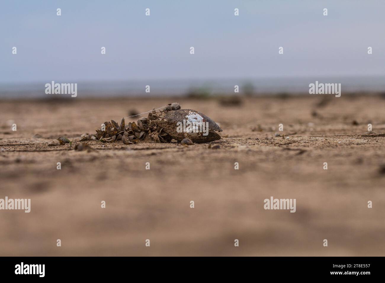 Drought. The water evaporated and the bottom of the reservoir cracked ...