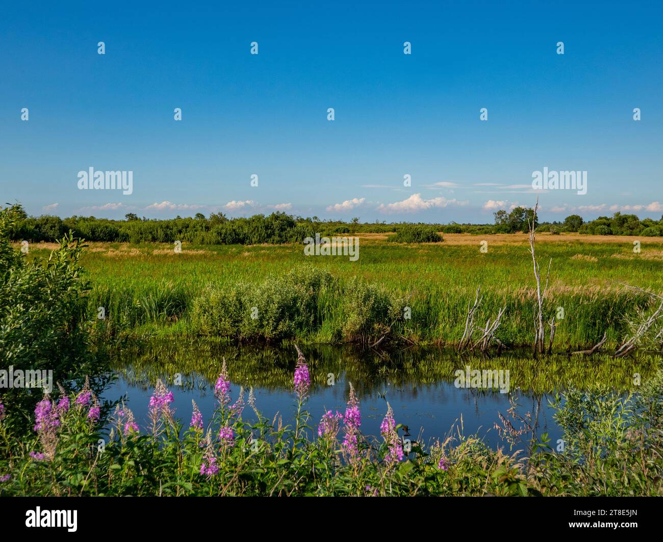 Agricultural stagnation of production. Former drainage canal and former ...