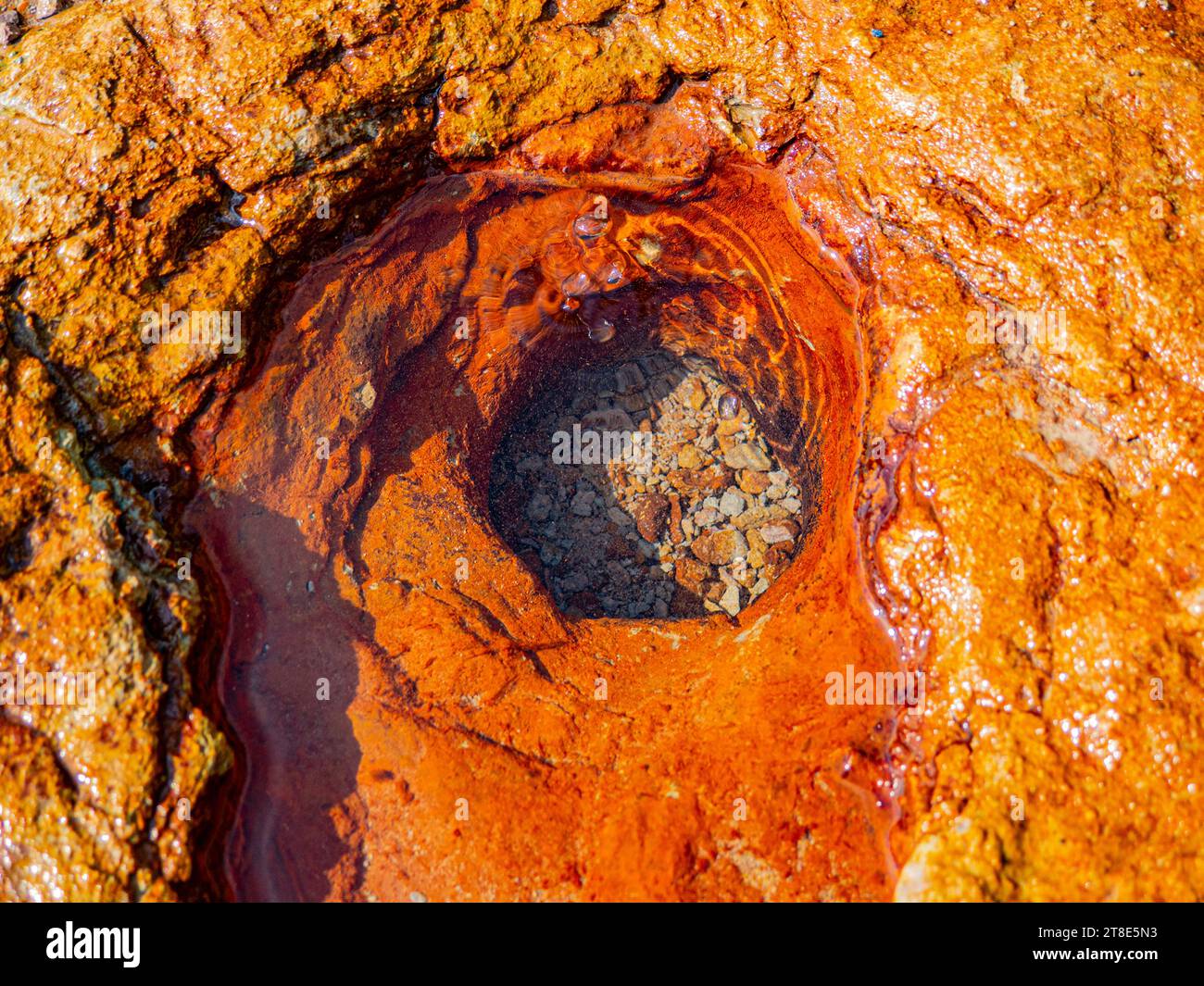 Mineral well from limestone deposits. Colonies of bacteria, cyenallae ...