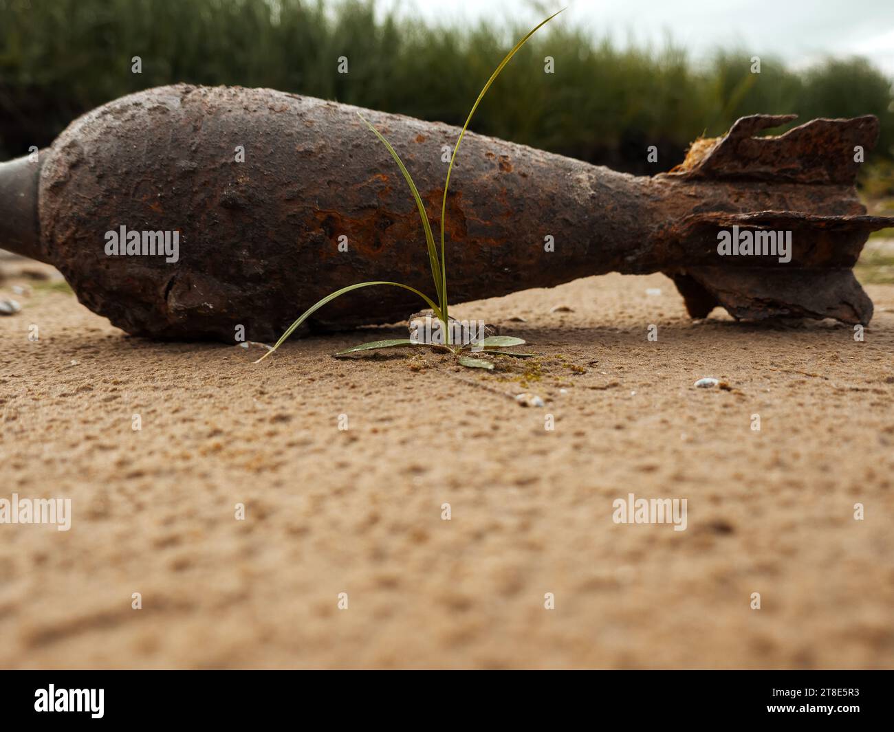 German trench-mortar bomb (water-drop shaped mortar projectile) during ...