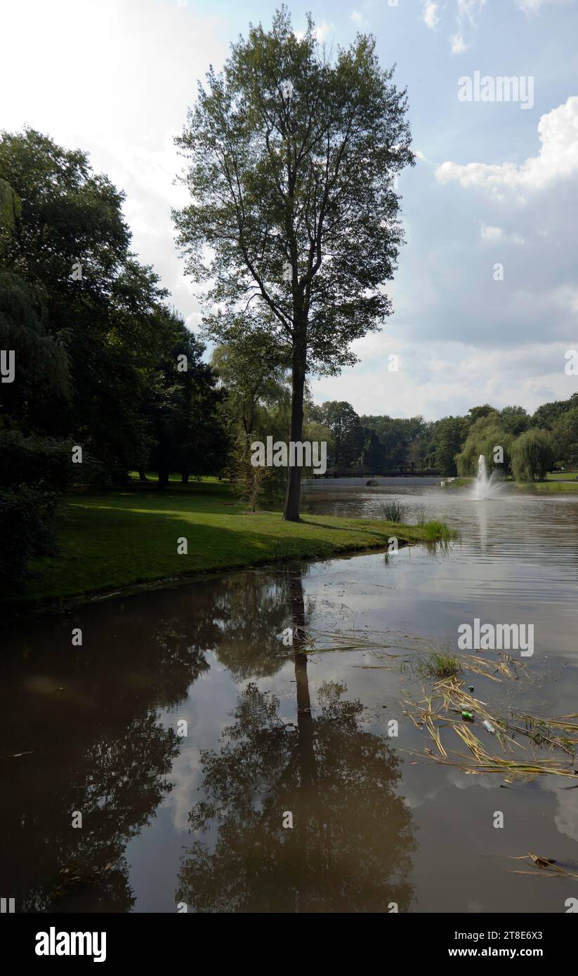 Larz Anderson Park is a wooded, landscaped, and waterscaped 64-acre ...