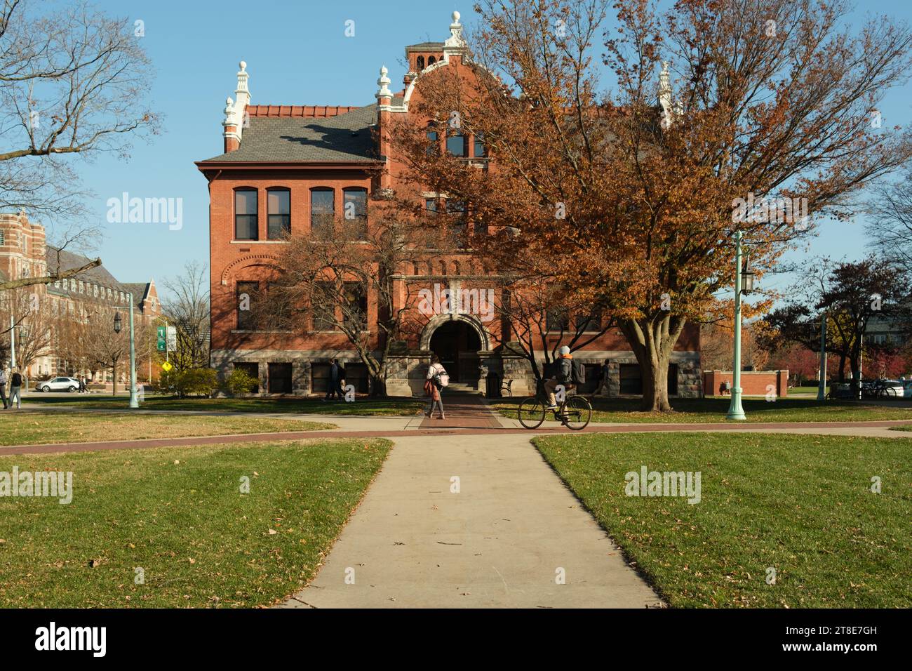 Bacteriology hi-res stock photography and images - Alamy