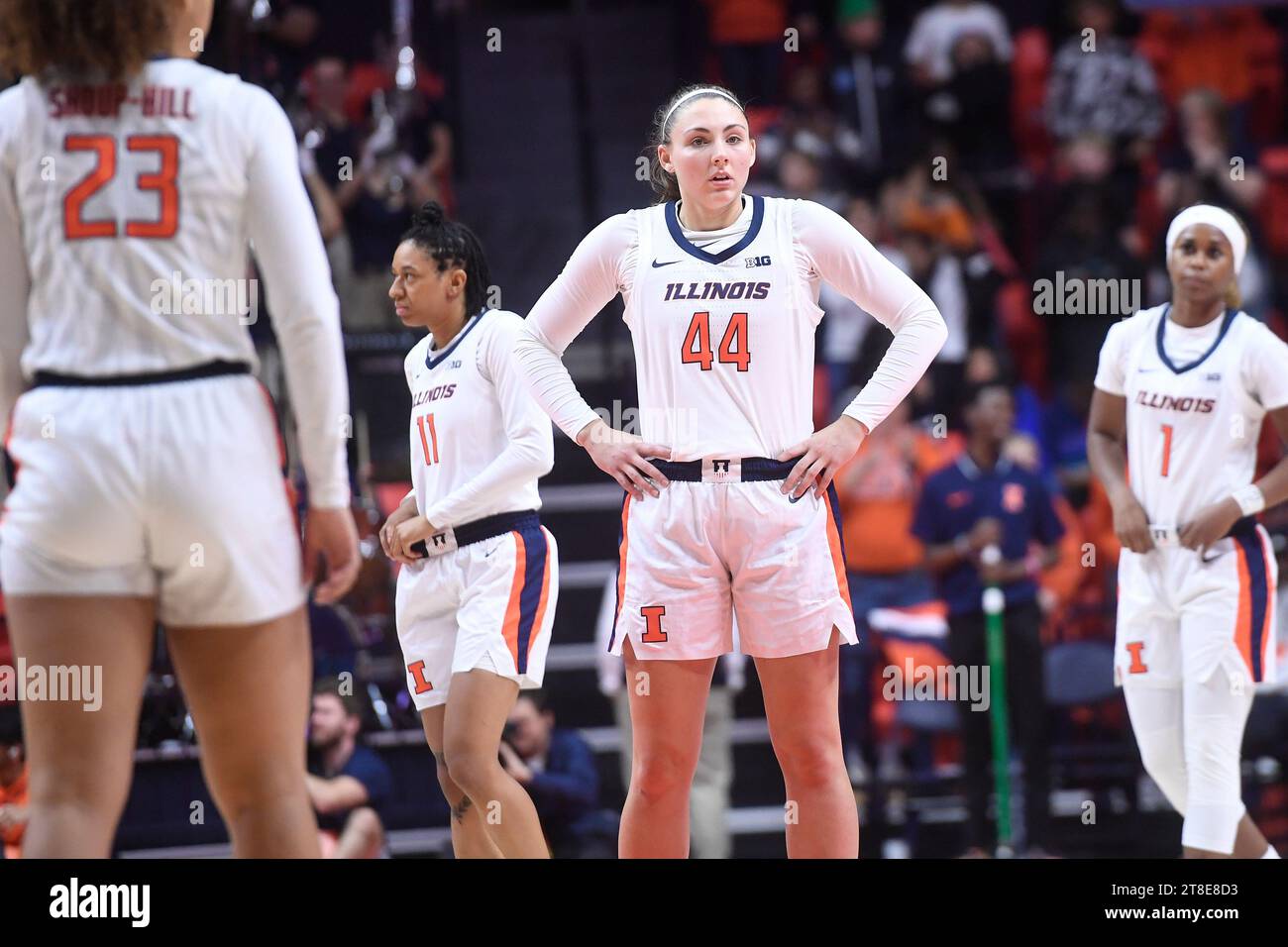CHAMPAIGN, IL - NOVEMBER 15: Illinois Fighting Illini Forward Kendall ...