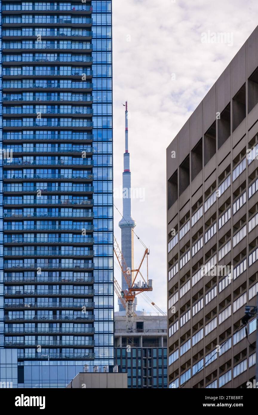 Construction cranes and the Cn Tower, toronto, canada Stock Photo - Alamy