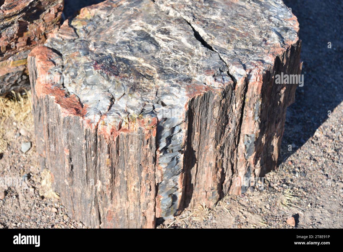 Petrified Forest National Park, AZ., USA. 10/17-18/2023. Crystal Forest ...