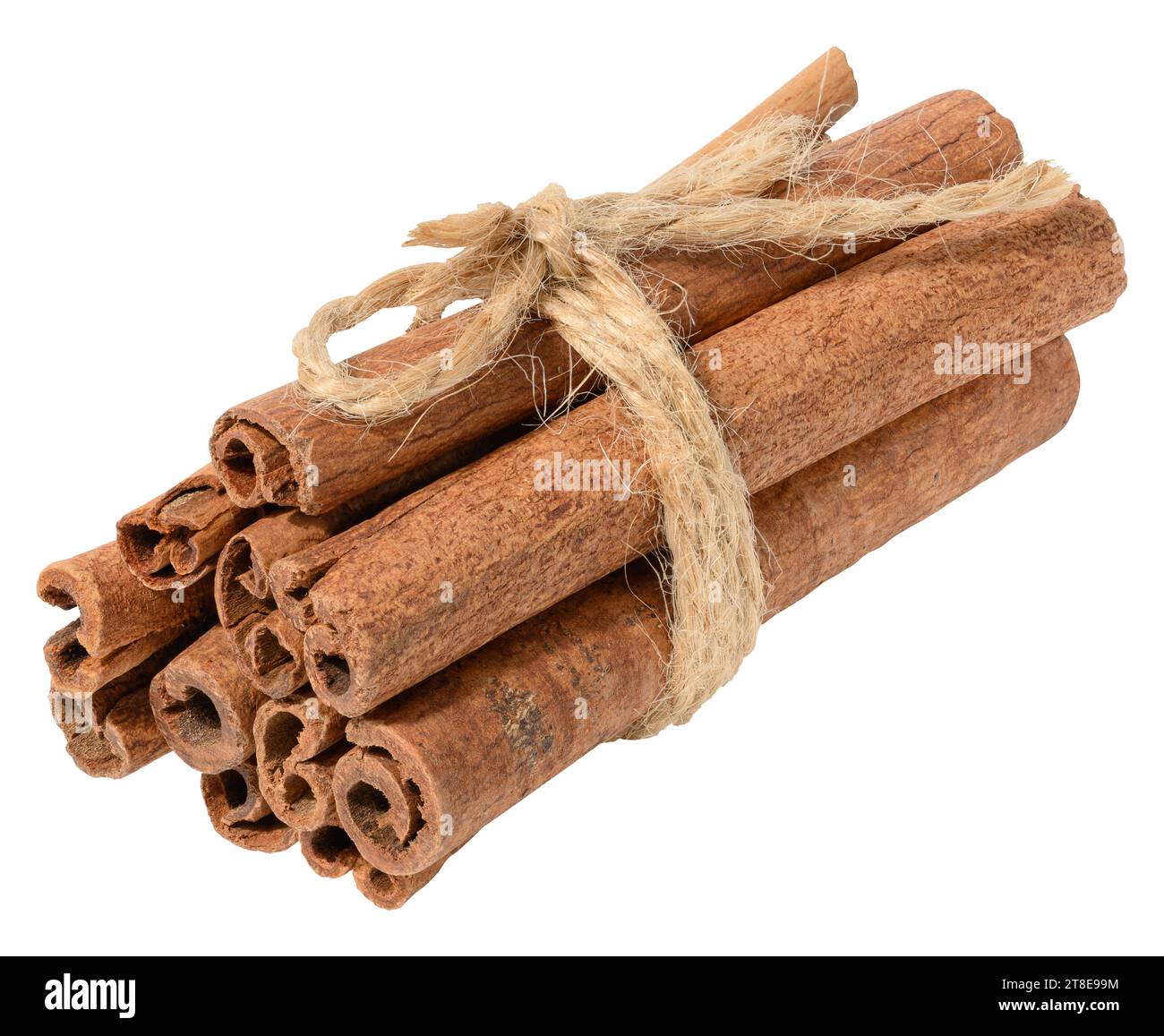 Dry cinnamon sticks tied with brown jute rope on a white isolated ...