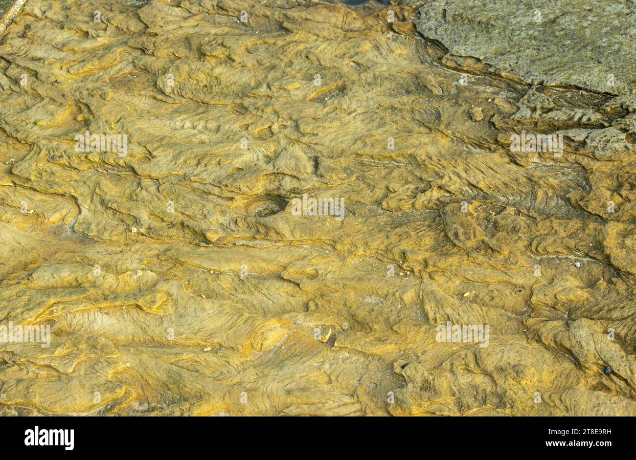 Ancient sand ripples frozen in time. These Jurassic sandstones give an ...