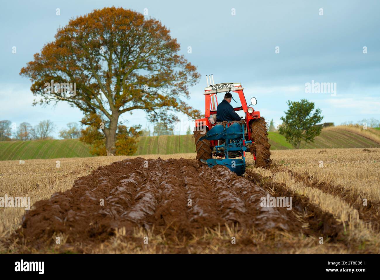 Duns, Scottish Borders, Scotland, UK. 19th November, 2023. Images from ...