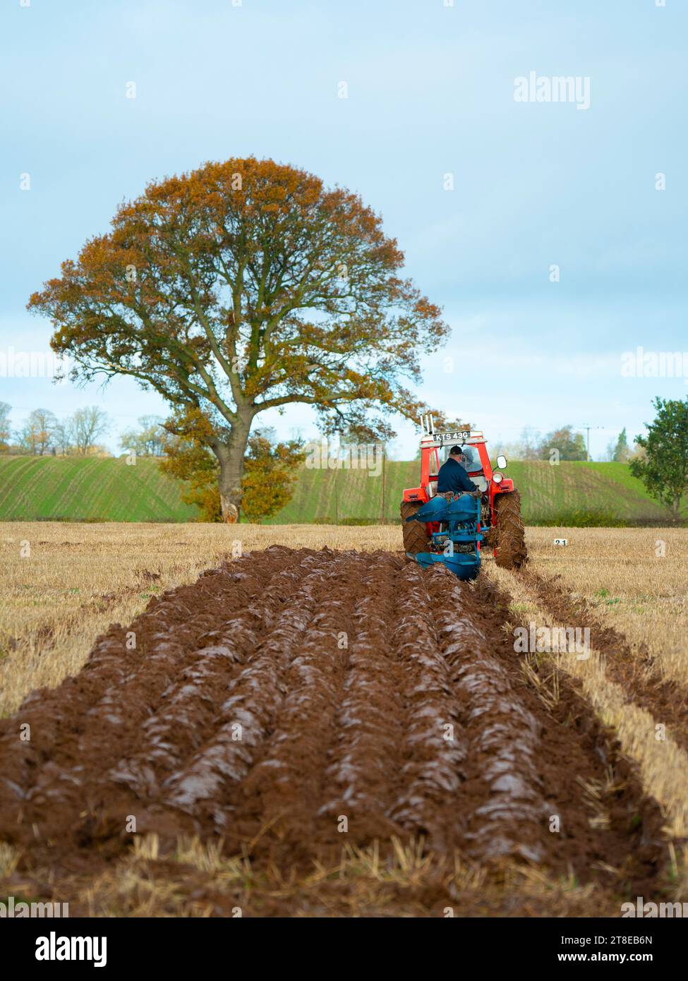 Duns, Scottish Borders, Scotland, UK. 19th November, 2023. Images from ...