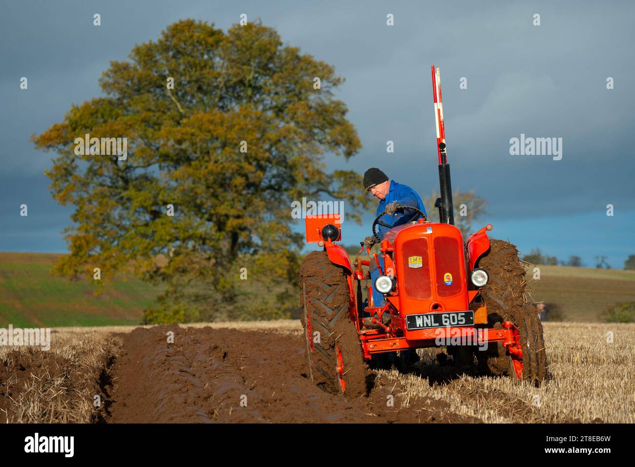 Duns, Scottish Borders, Scotland, UK. 19th November, 2023. Images from ...