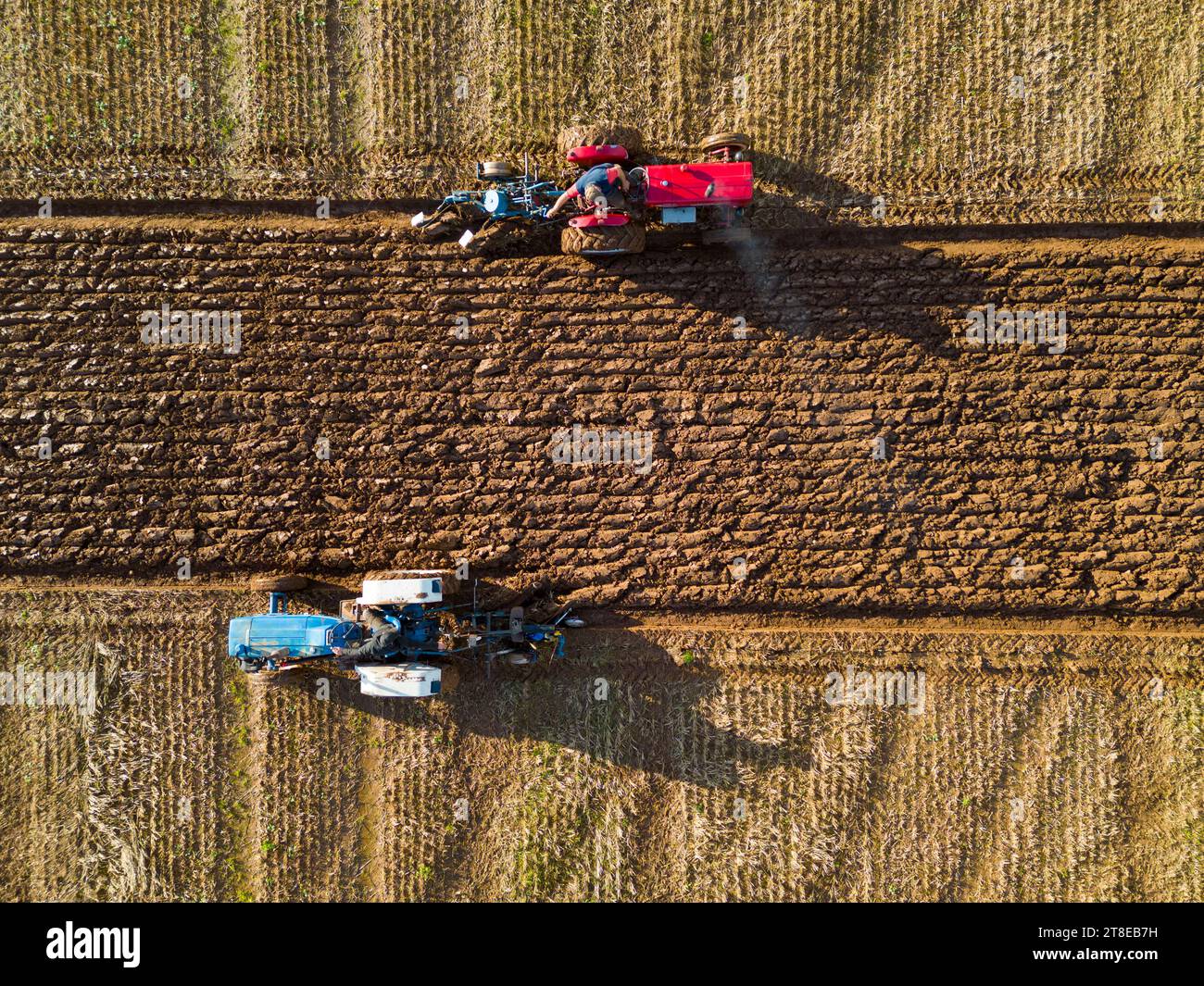 Duns, Scottish Borders, Scotland, UK. 19th November, 2023. Images from ...
