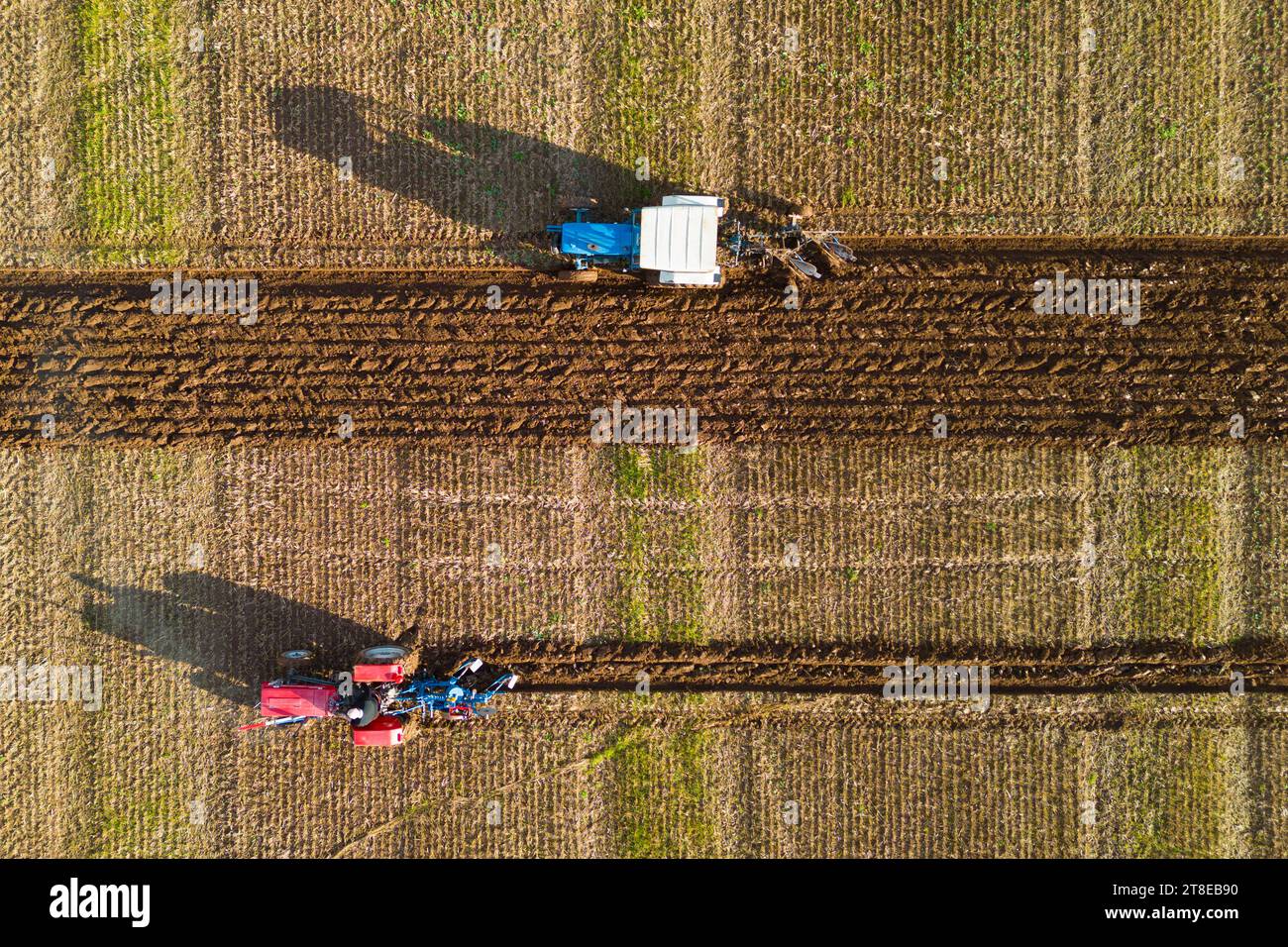 Duns, Scottish Borders, Scotland, UK. 19th November, 2023. Images from ...