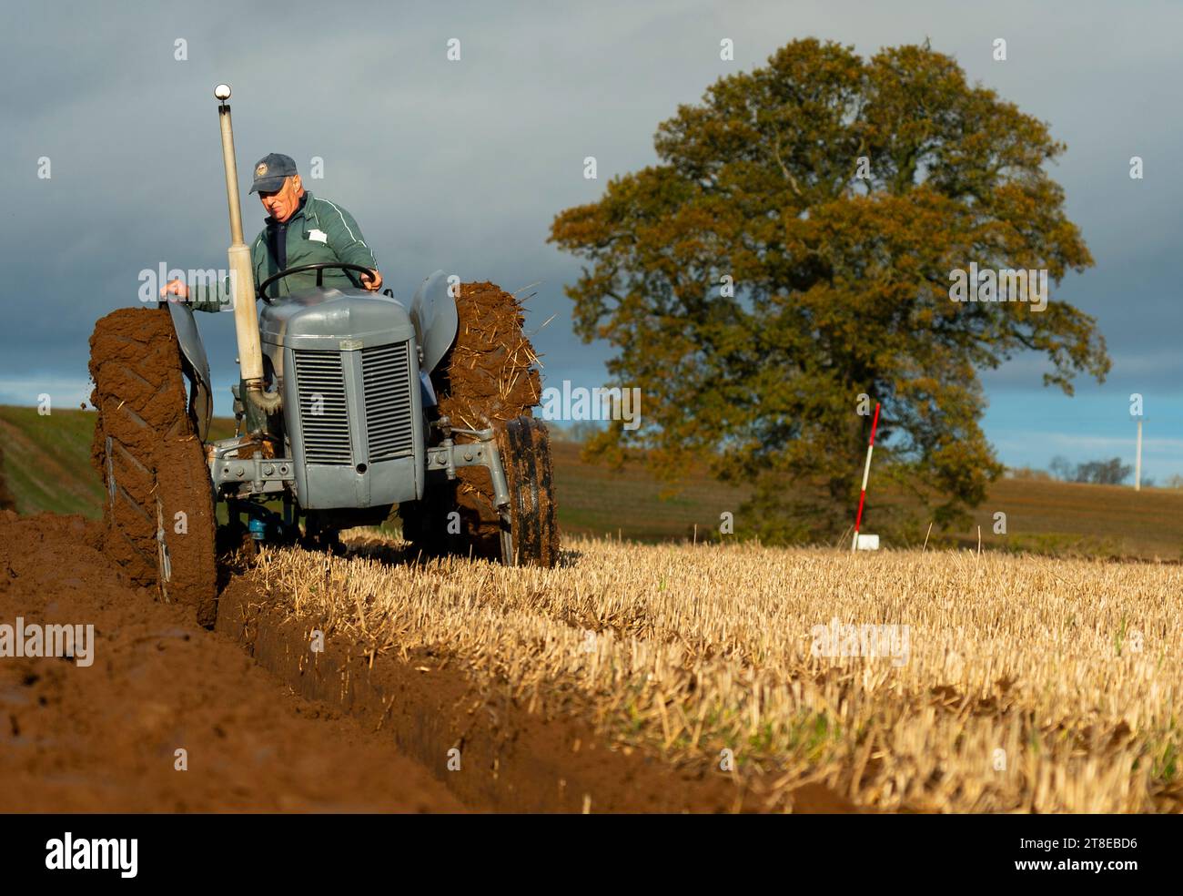 Duns, Scottish Borders, Scotland, UK. 19th November, 2023. Images from ...