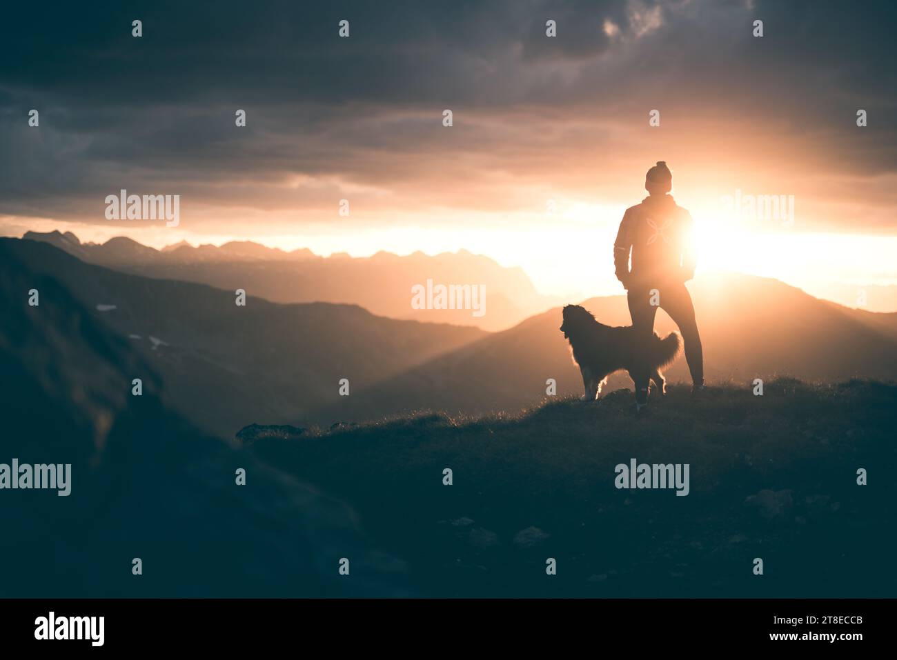 Human best friend Stock Photo - Alamy