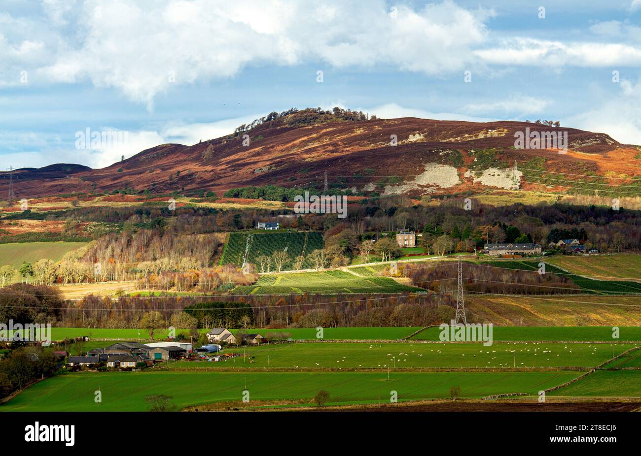Dundee strathmore valley hi-res stock photography and images - Alamy