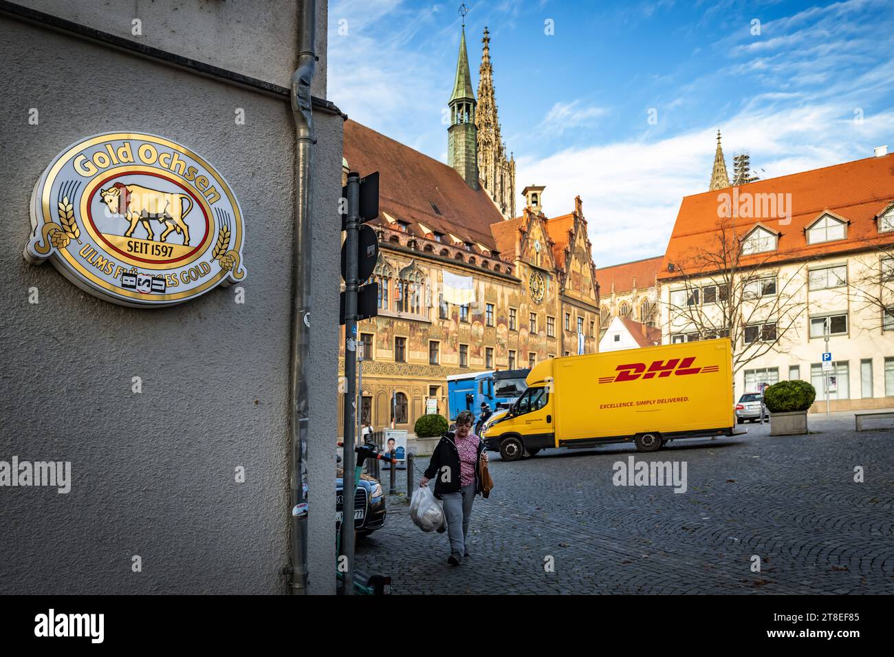 Gold ochsen hi-res stock photography and images - Alamy