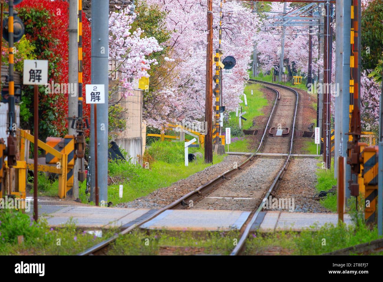 Kyoto, Japan - March 31 2023: Keifuku Tram is operated by Keifuku ...