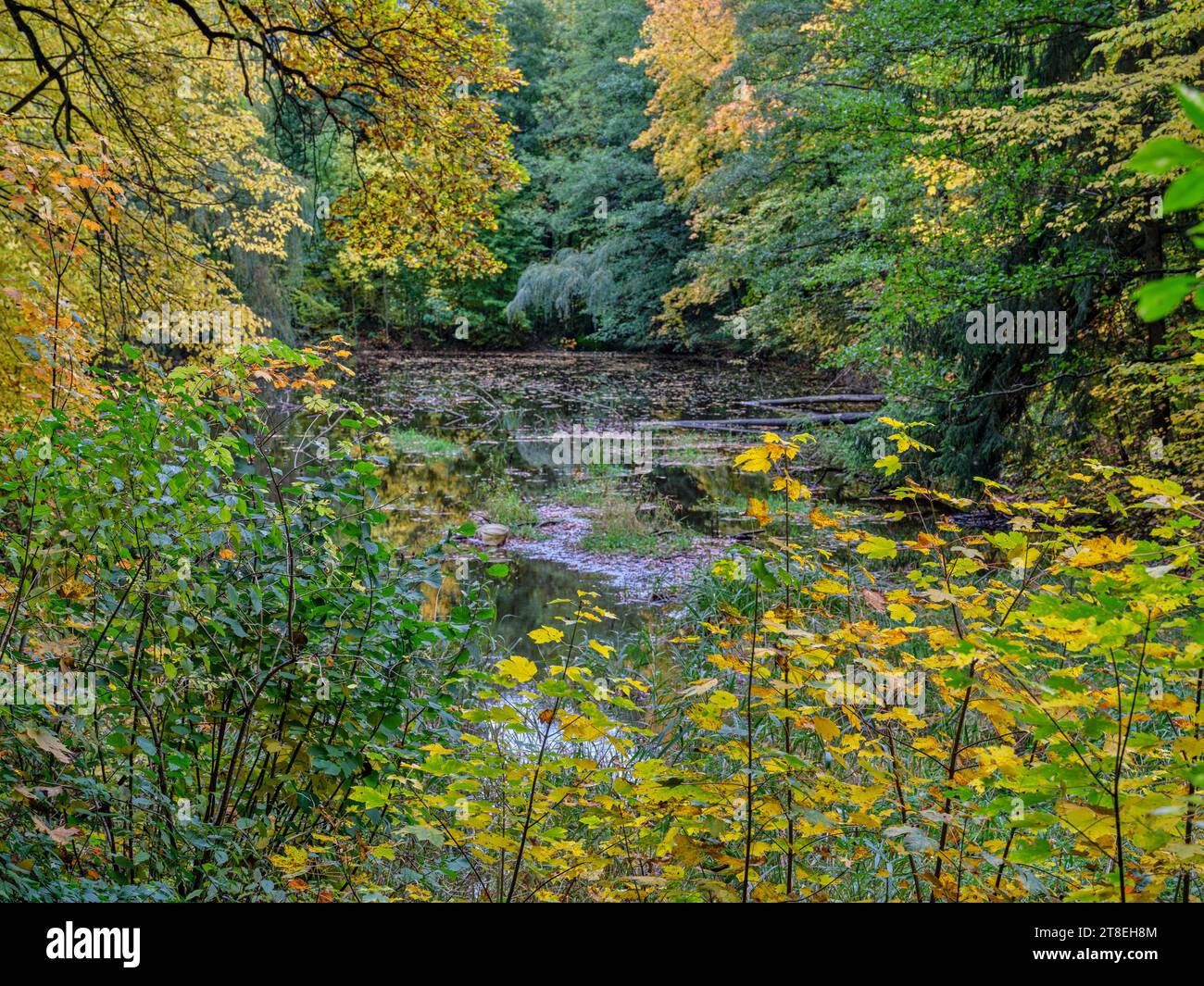 Colourful colorful autumn fall landscape of Lower Silesia Poland Stock ...