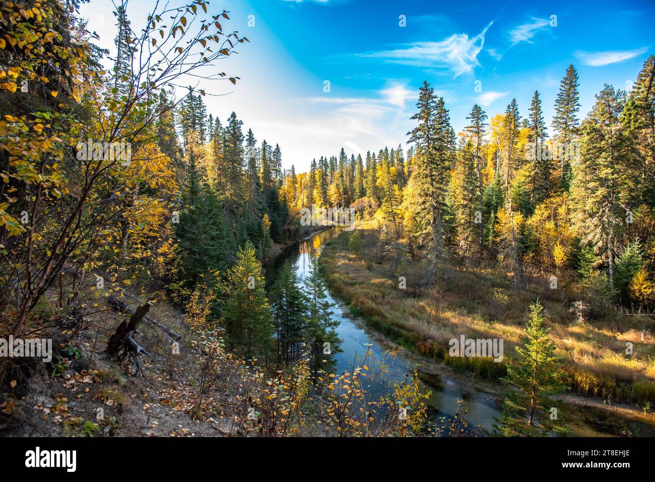 Autumn in Prince Albert National Park Stock Photo - Alamy