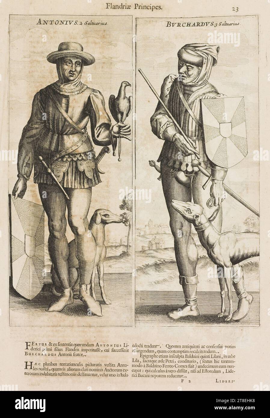 3 saltuarius hi-res stock photography and images - Alamy