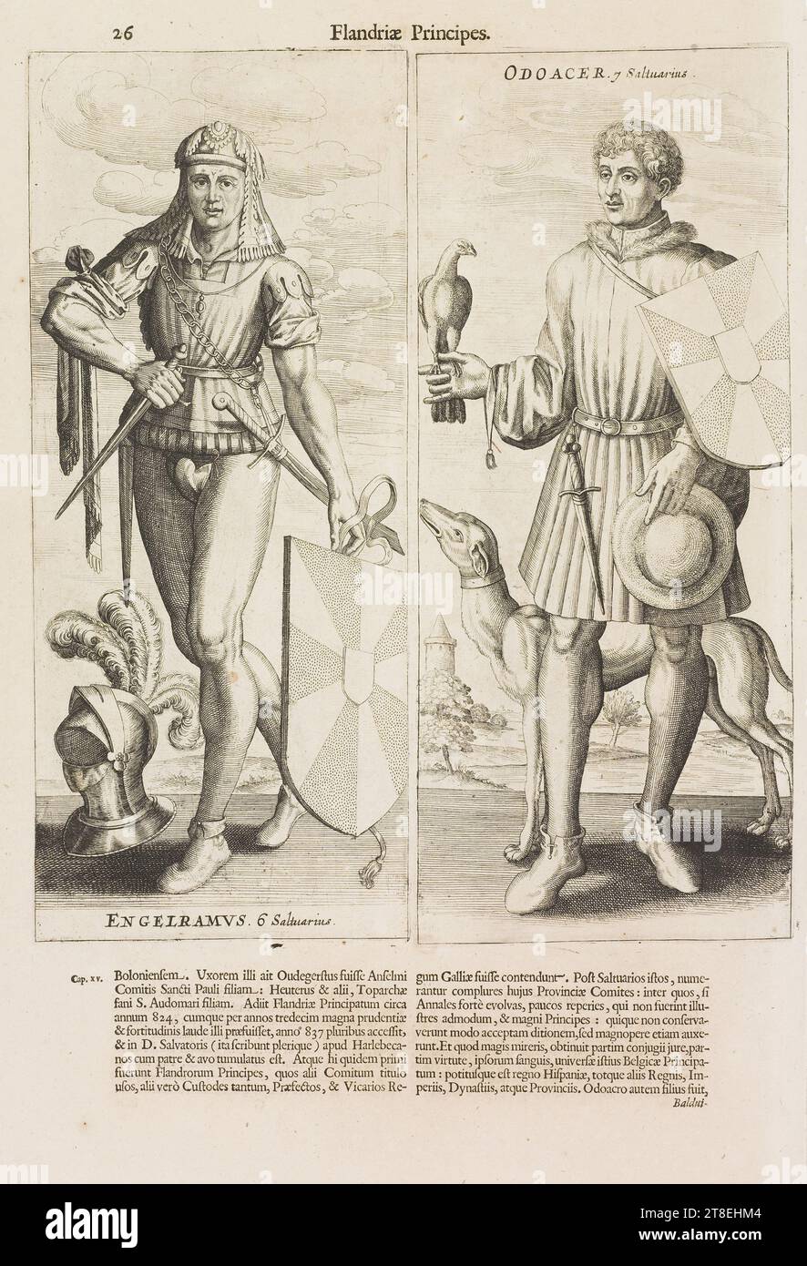 6 saltuarius hi-res stock photography and images - Alamy