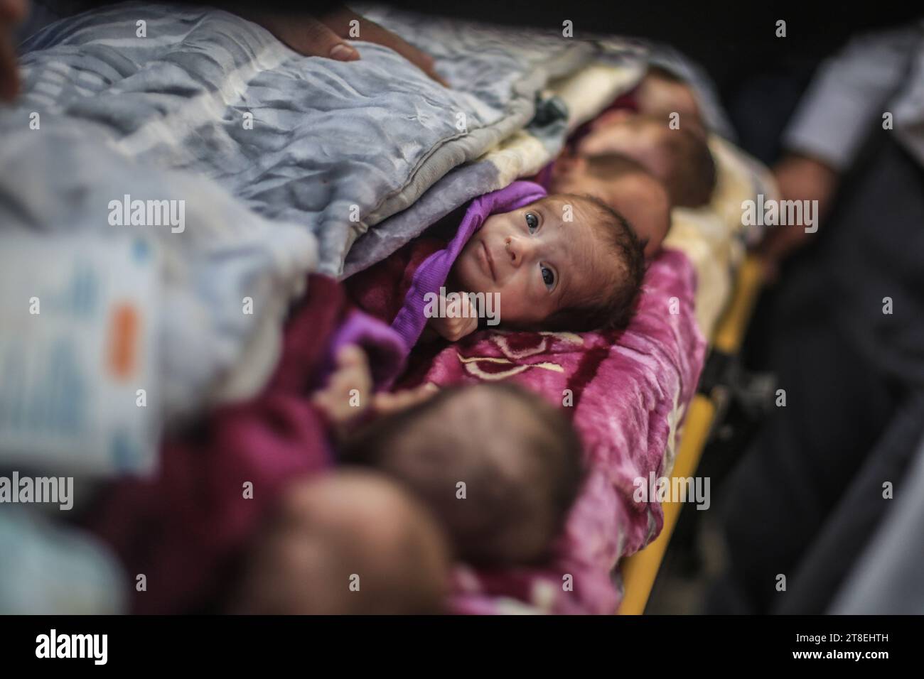 Rafah, Palestinian Territories. 20th Nov, 2023. Premature babies ...