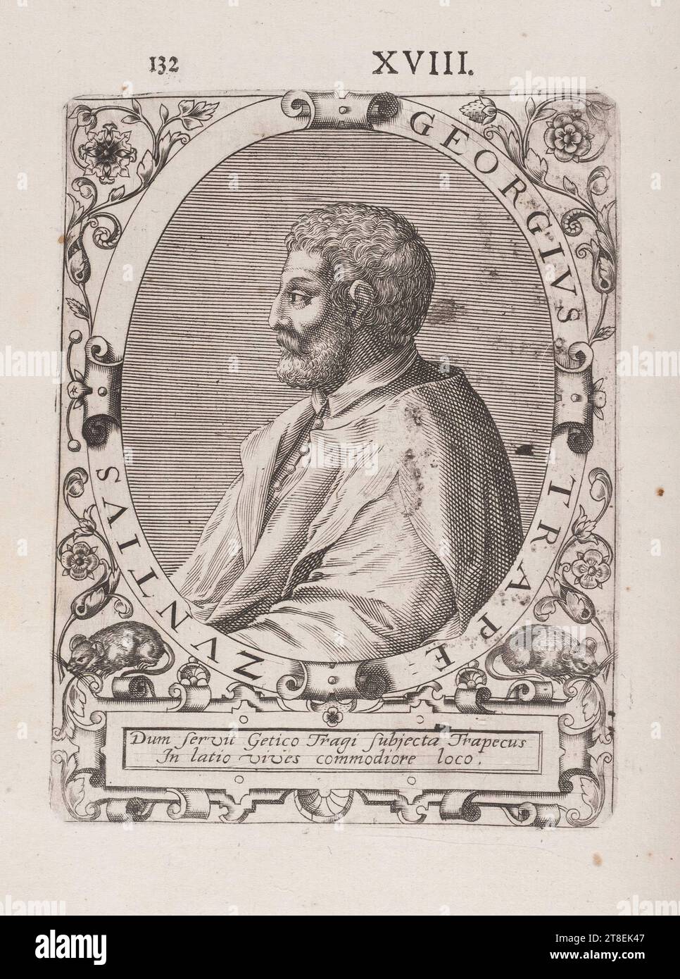 Servit hi-res stock photography and images - Alamy