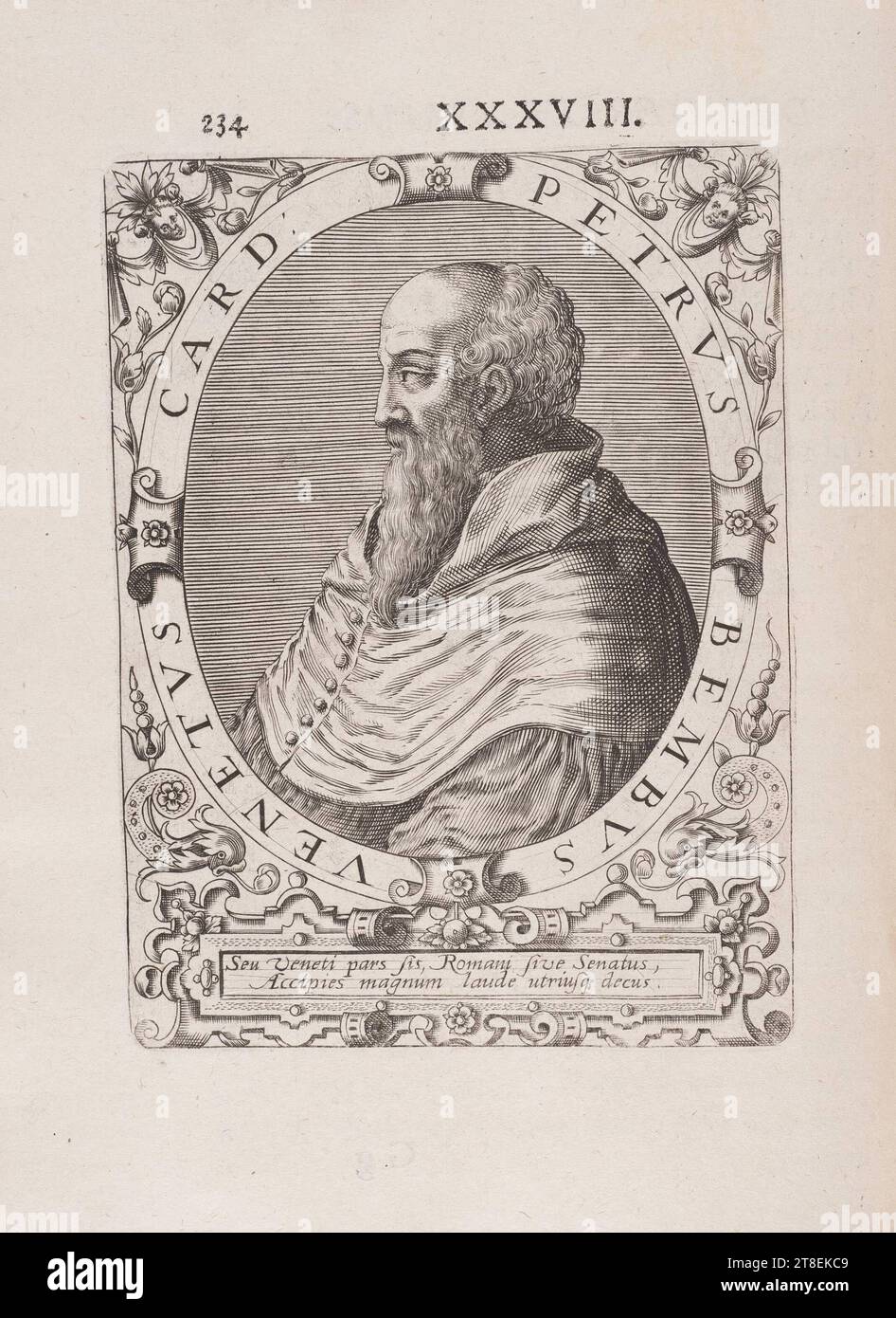 Accipies hi-res stock photography and images - Alamy