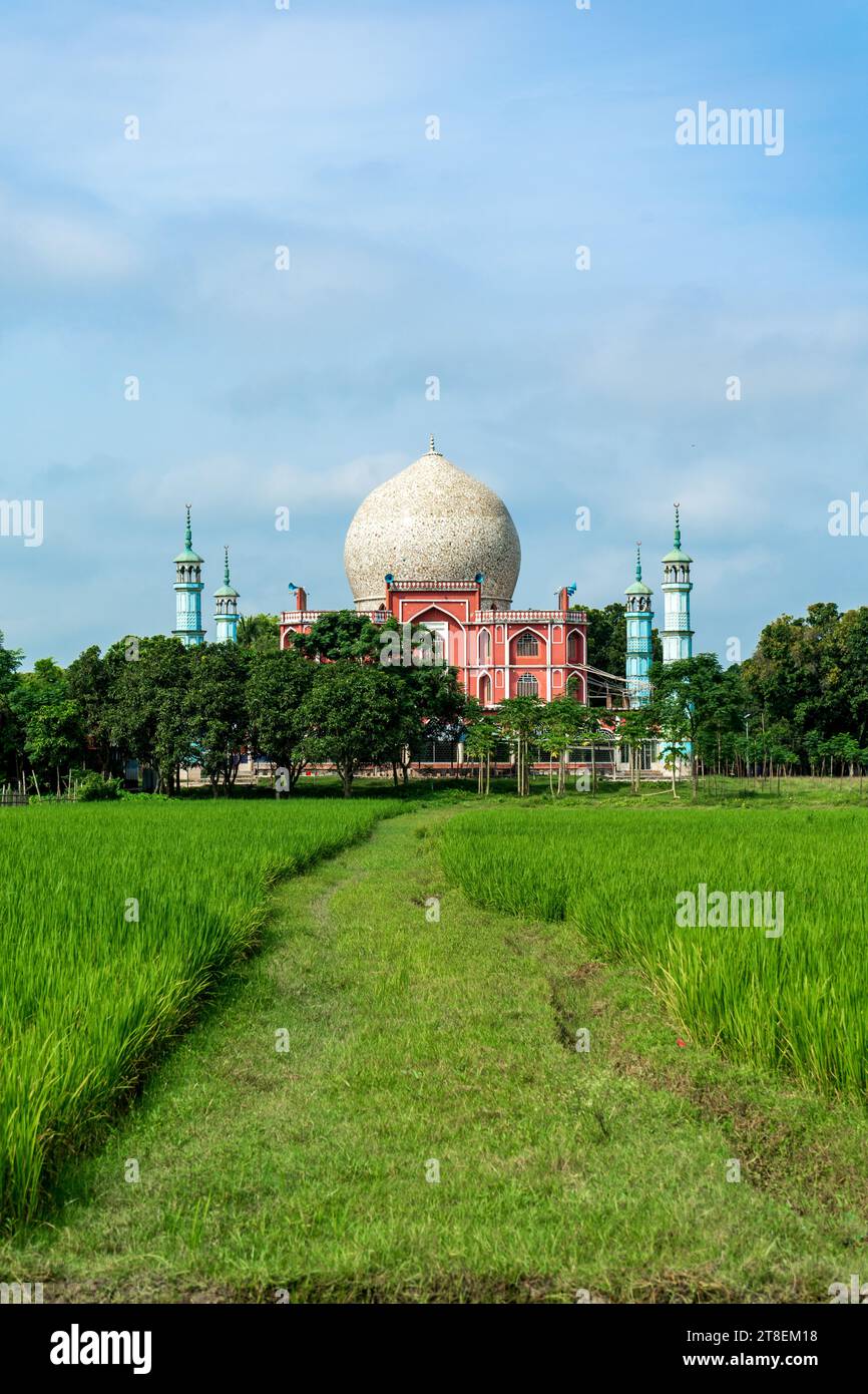 Islamic muslim Mosque against backdrop of blue sky and rice field ...