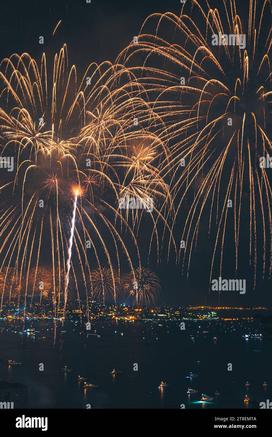 Beautiful fireworks in night sky Stock Photo - Alamy