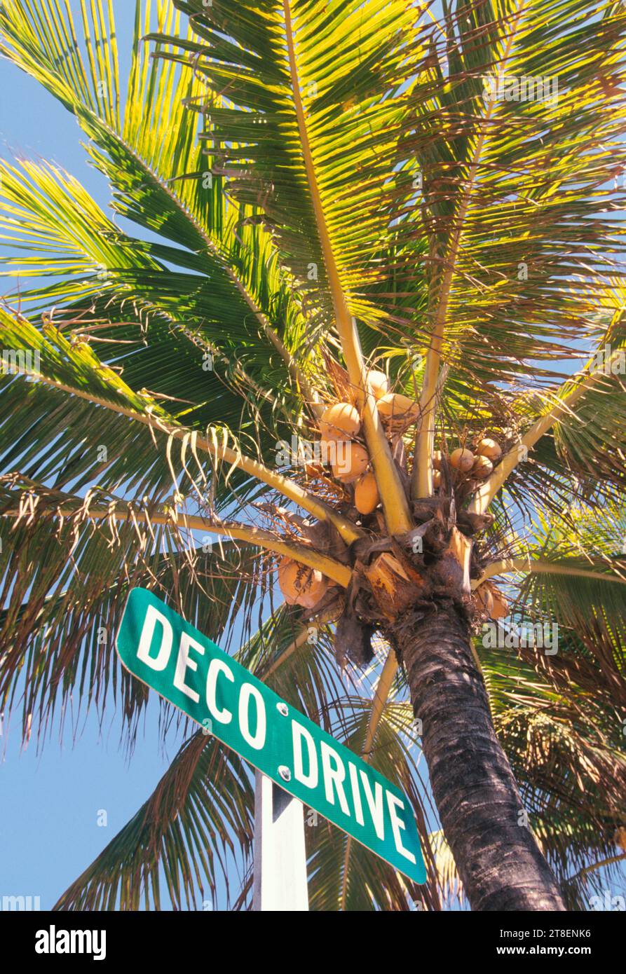Miami Beach Deco Drive street sign and palm tree, Florida tropical ...