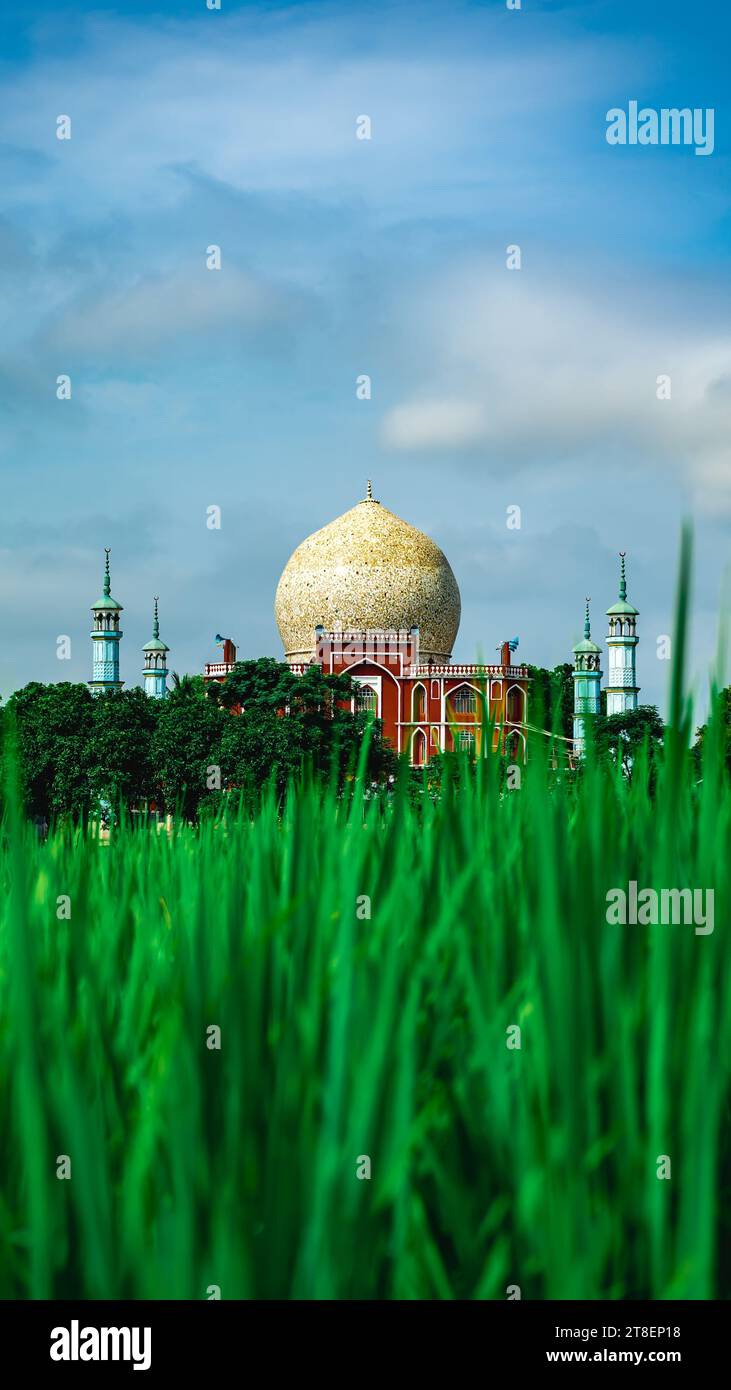 Mosque on the background of a green rice field Stock Photo - Alamy