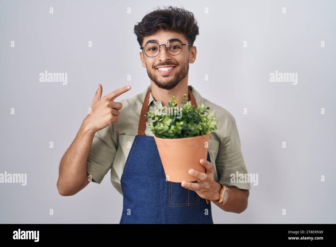 Arab man with beard holding green plant pot smiling cheerful showing ...