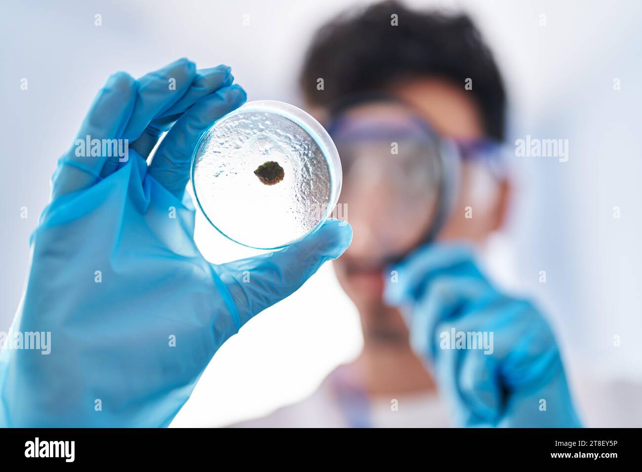 Scientist using magnifying glass microscope hi-res stock photography ...