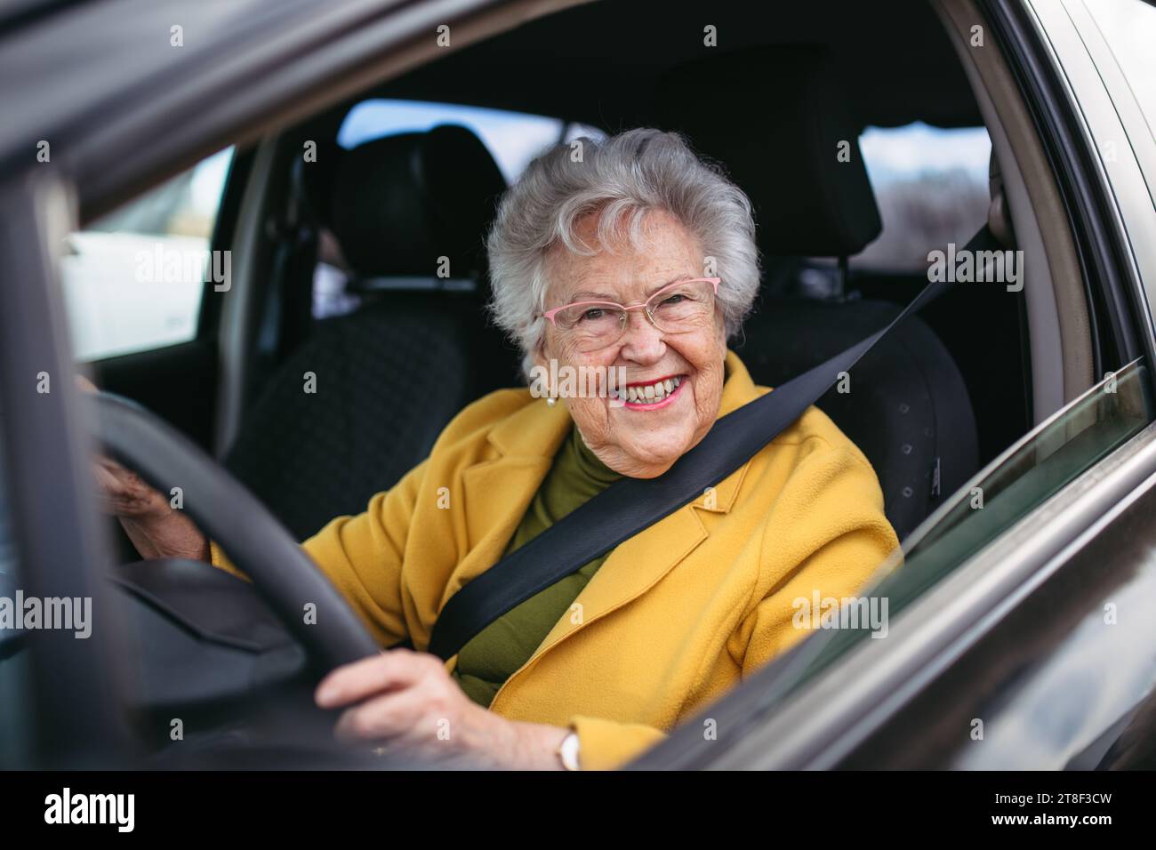 Driving privileges hi-res stock photography and images - Alamy