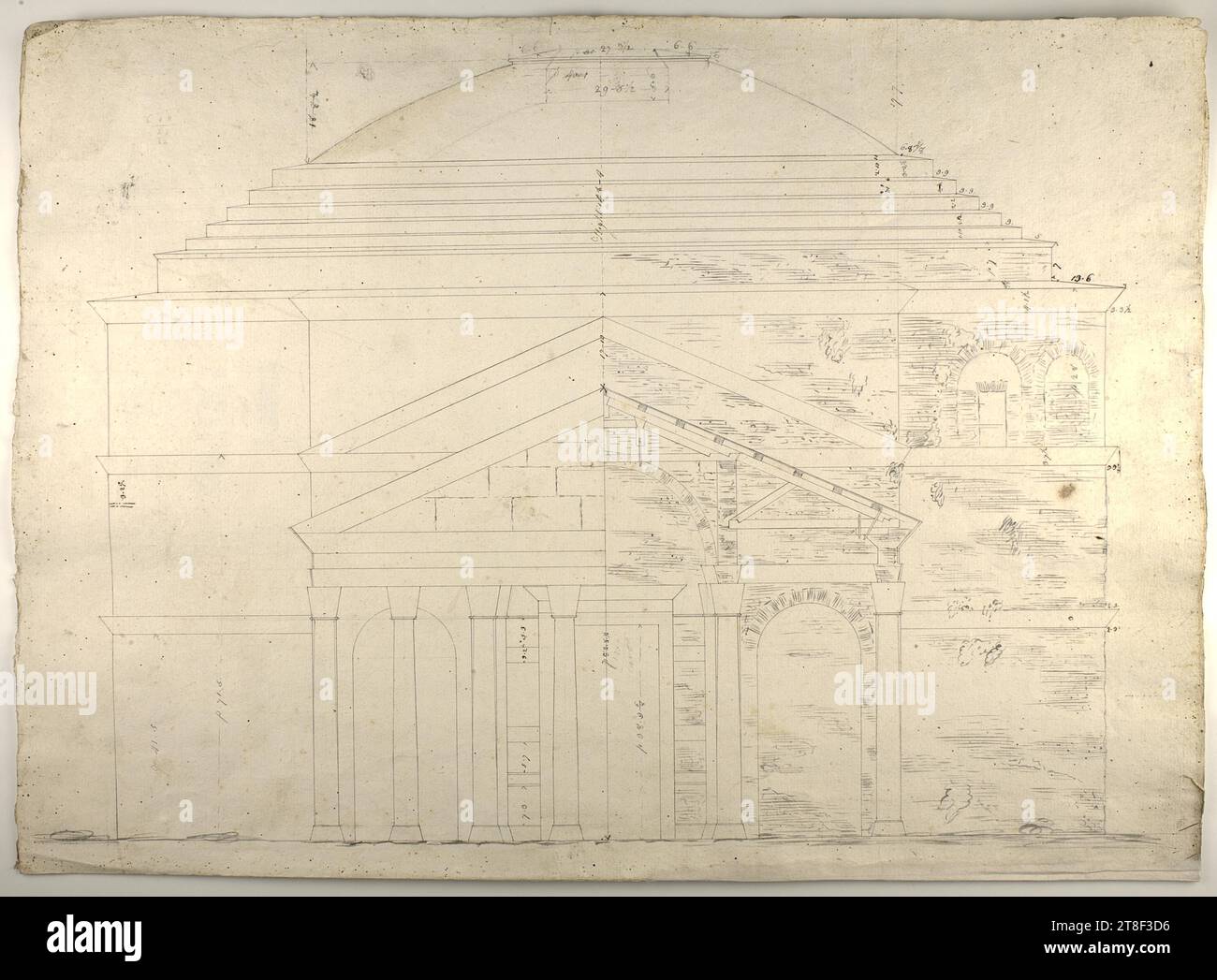 Half longitudional section hi-res stock photography and images - Alamy