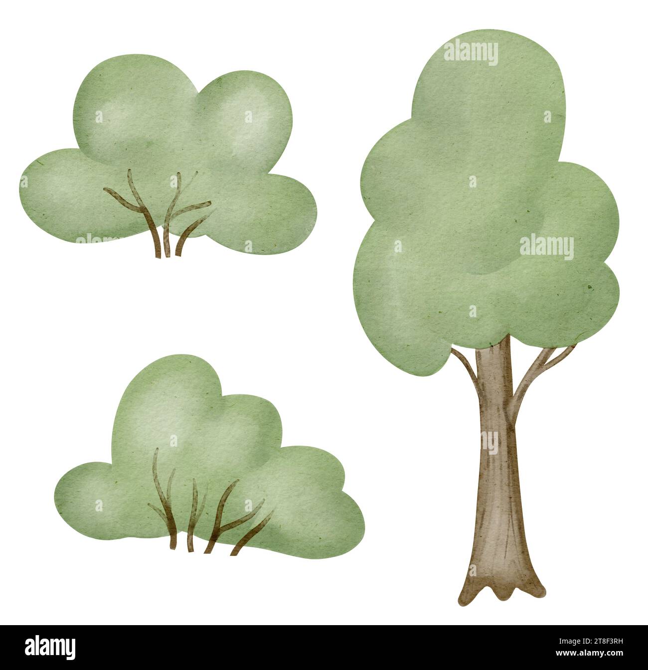 Tree and Bush Set. Watercolor illustration of shrub and forest plant ...
