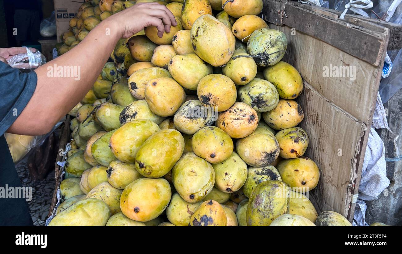 View of a person selling mango fruits at World's largest market in ...