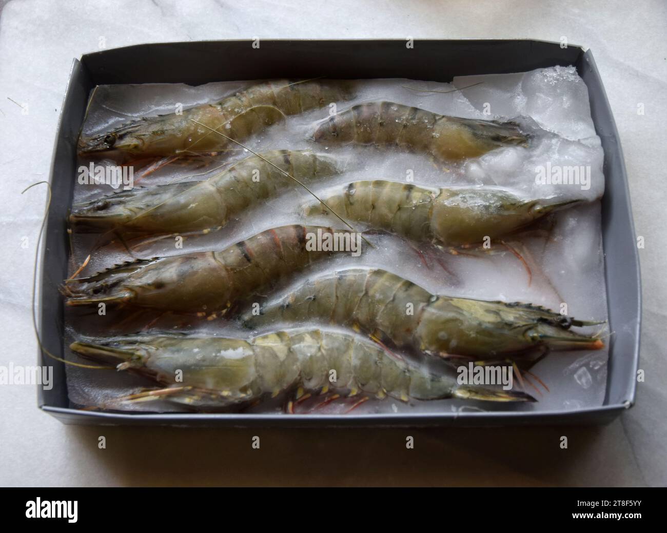 frozen black tiger prawns Stock Photo - Alamy