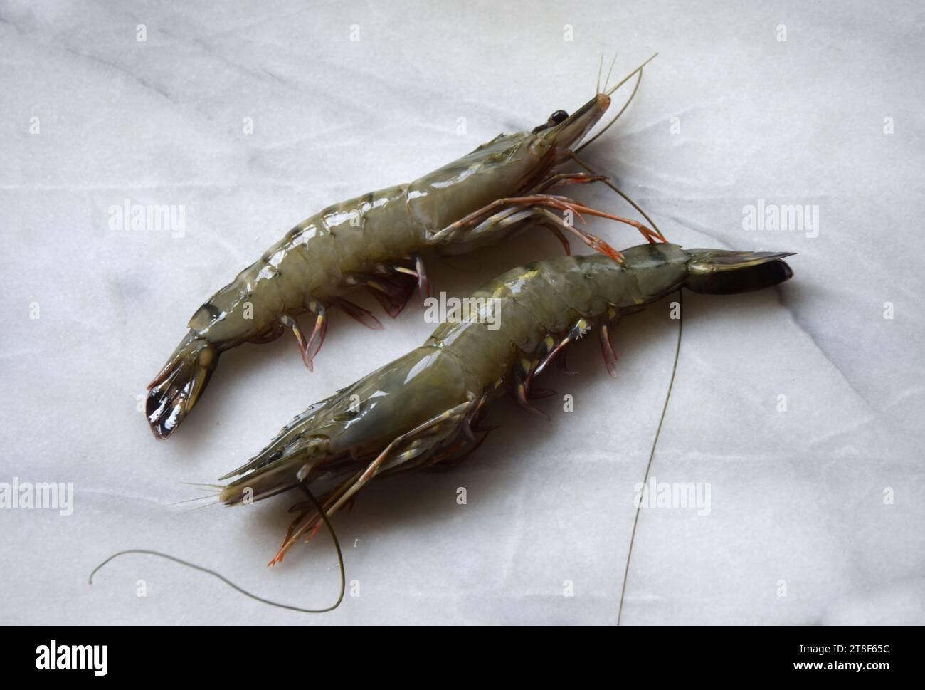 two raw black tiger prawns Stock Photo - Alamy