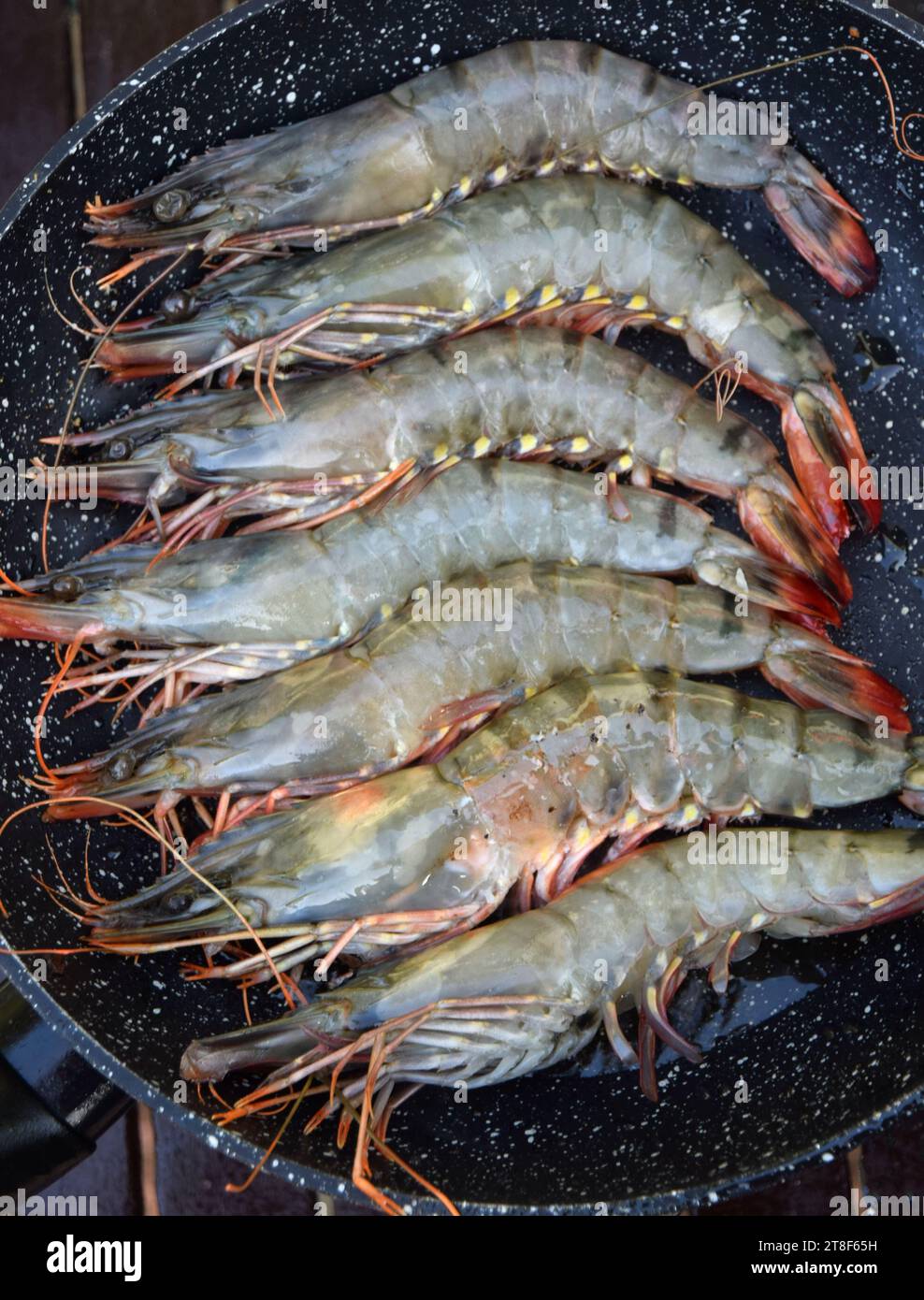 black tiger prawns Stock Photo - Alamy