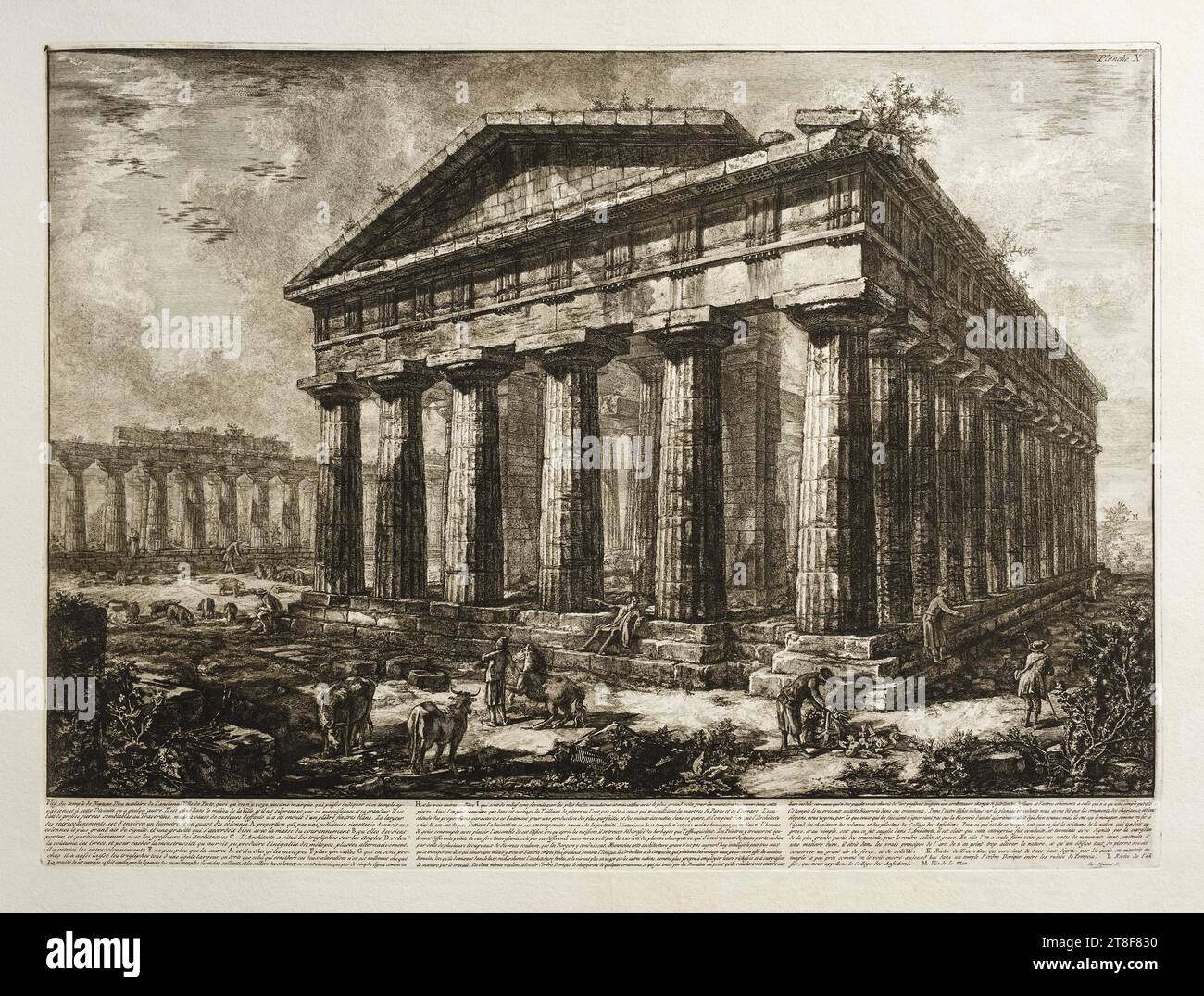 715 x 770 mm hi-res stock photography and images - Alamy