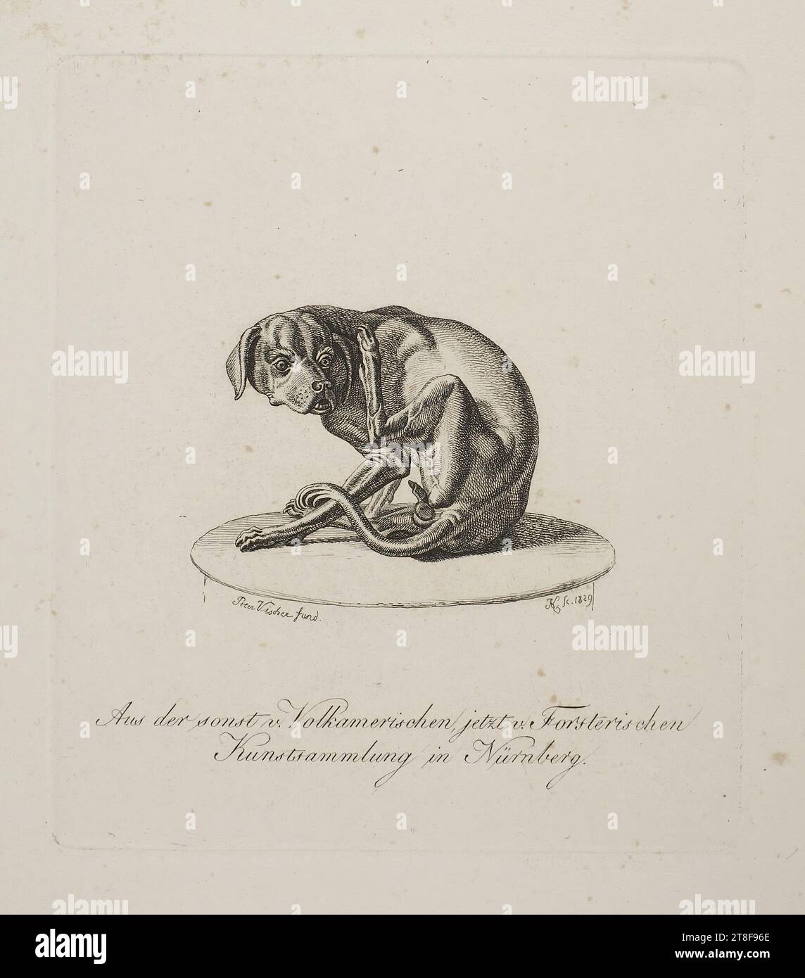 Peter visher fund hi-res stock photography and images - Alamy