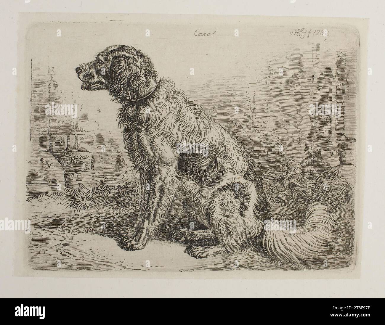 Ak 1832 hi-res stock photography and images - Alamy