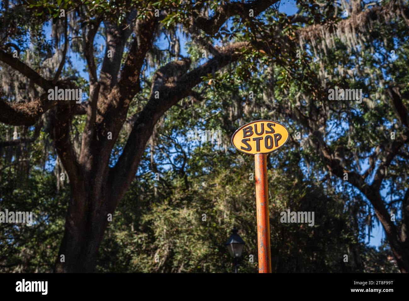 Buss stop sign in downtown Savannah, Georgia, United States Stock Photo ...