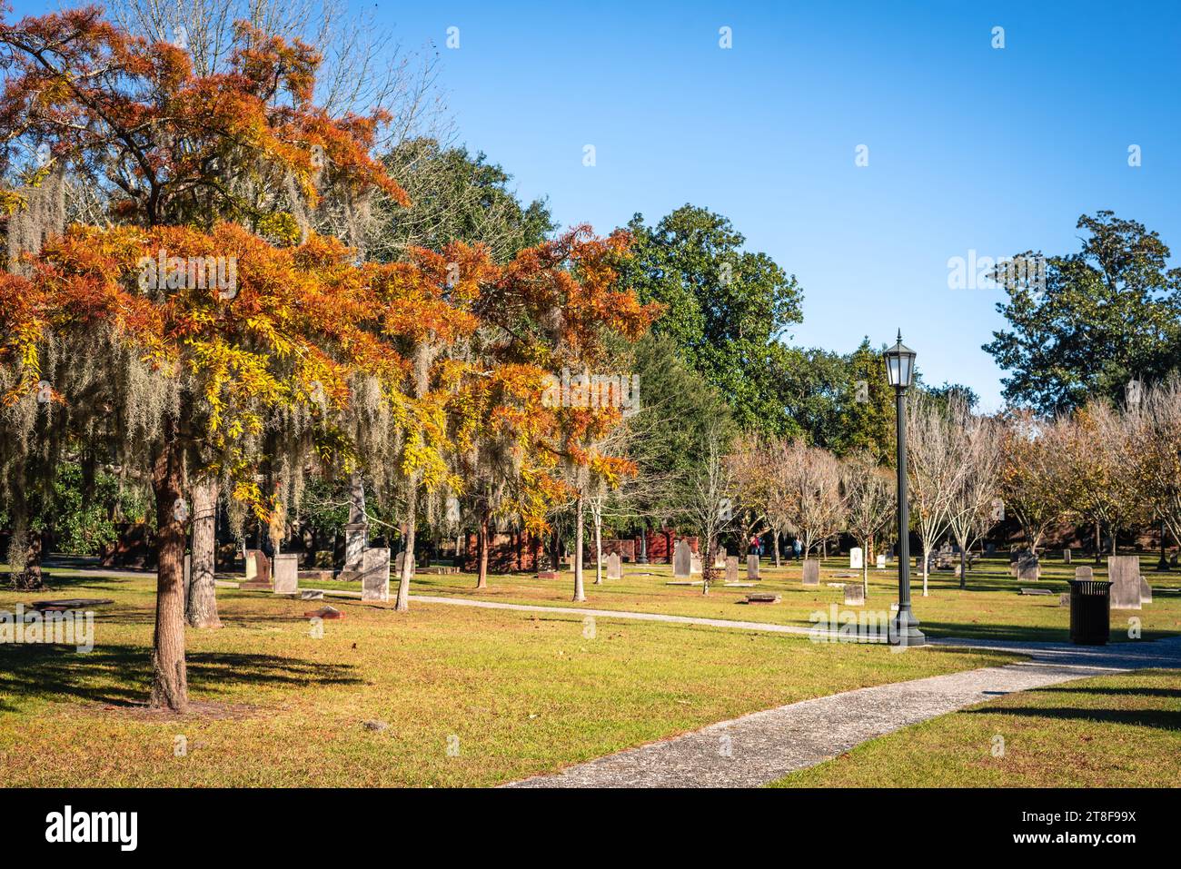 Fall colors at the Colonial Park Cemetery in Savannah, Georgia, United ...